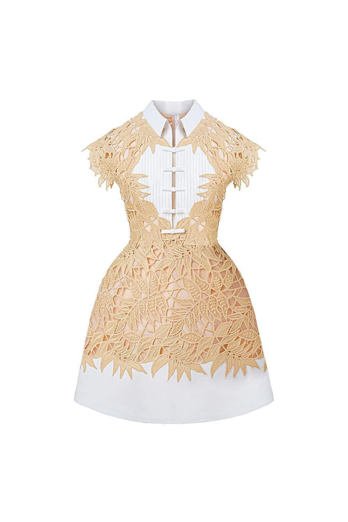 Women's Rachel A-line Collared Neck Lace Mini Dress S/M/L Yellow MEAN BLVD